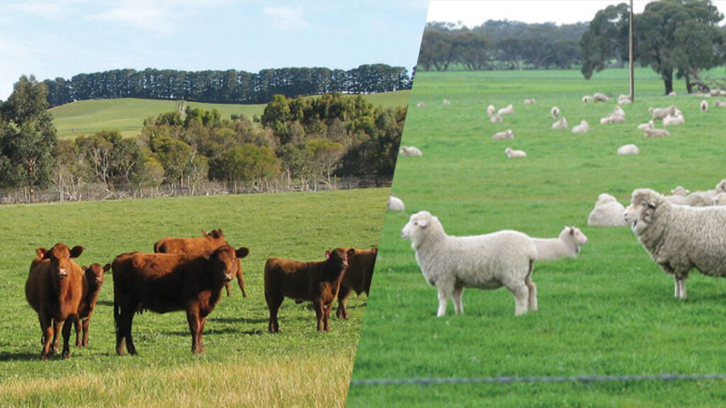 Hybuff Ruminant Buffer - Compass Feeds
